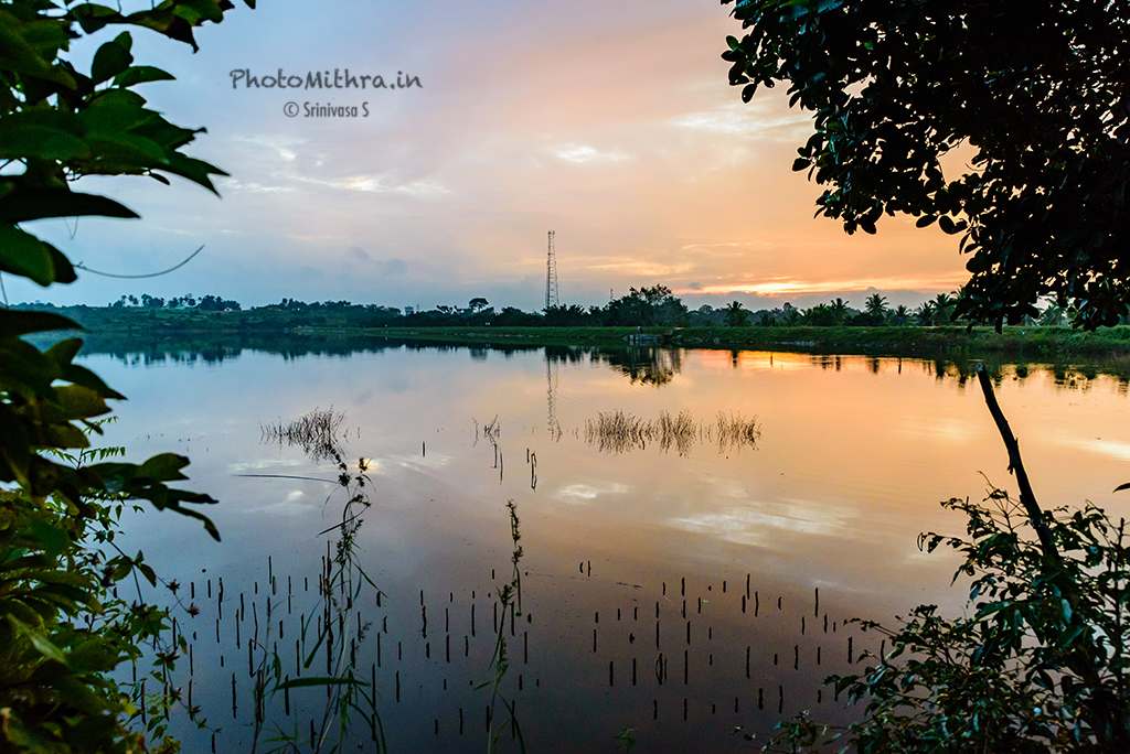 Morning ride to Nelligudde lake - PhotoMithra