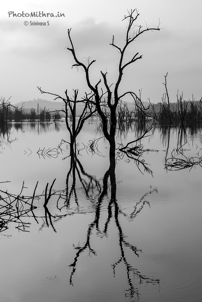 Shapes and smaller details in landscapes - PhotoMithra